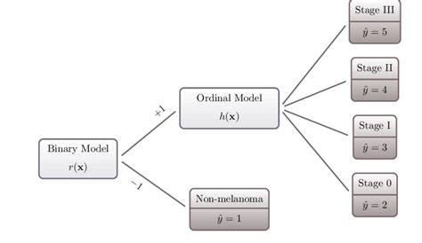 hierarchical classifier prediction process download scientific diagram