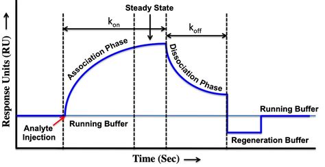 Regeneration Buffer