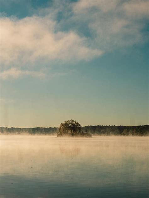 경치 고독 고독한 나무 고립 된 나무 고요한 고요한 광경 고요함 광야 나무 대기의 몽환 미니멀리스트 자연 미묘한 반사 반사 사진 봄 풍경