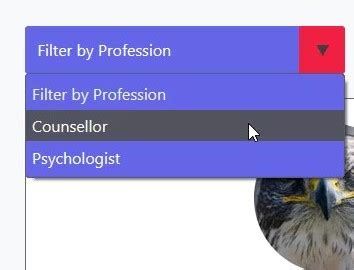 Html Css Select Option Disabled Color Stack Overflow