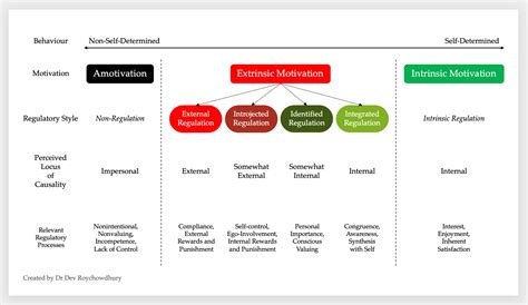 Self Determination Theory