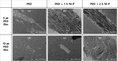 Surface Morphologies Of Peo Treated Aa1050 Specimens Without And With