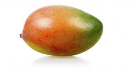 محصول مانجو للبيع