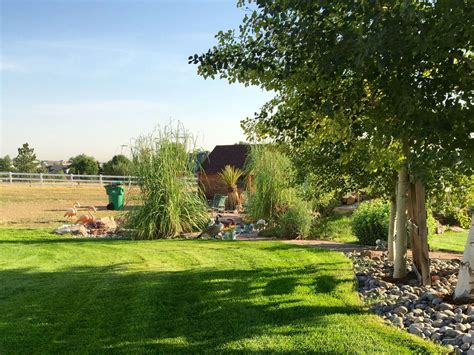 Lawn Edging In Colorado