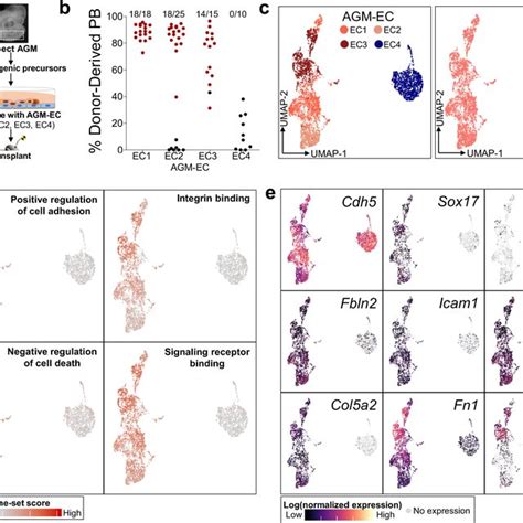 Single Cell Rna Sequencing Identifies The Transcriptional Signatures Of Download Scientific