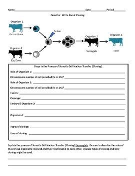 GENETICS WRITE ABOUT CLONING By GKatzChronicle TPT