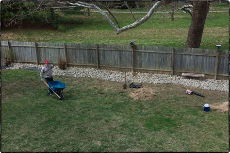 How To Get Rid Of Tree Roots In Your Sewer Line