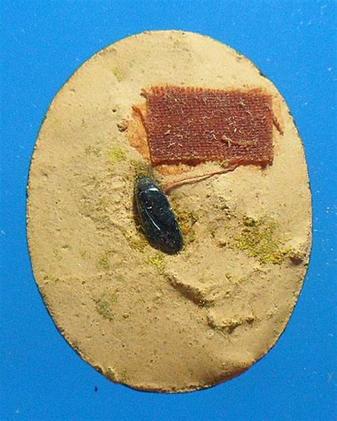 ล็อกเก็ต หลวงพ่อจรัญ วัดอัมพวัน สิงห์บุรี องค์ที่5 พระเครื่อง พระแท้ Webpra เว็บ พระ คอม