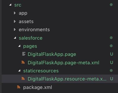 Automate Angular Application Deployment To Salesforce Digital Flask