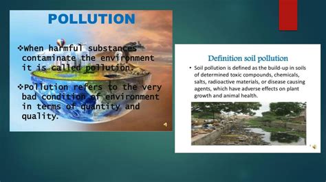SOLUTION Soil Pollution Studypool