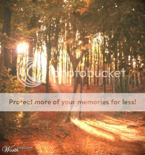 Tree Magic Photos Art Thread Page 5 Literotica Discussion Board