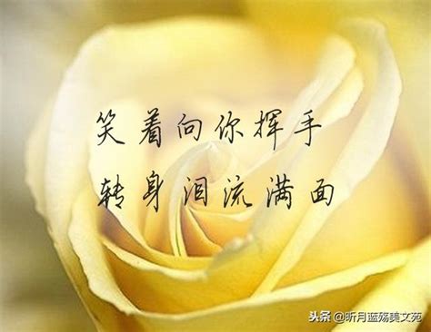 與你一見如故心生萬千歡喜 每日頭條