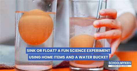 Sink Or Float A Fun Science Experiment Using Home Items And A Water Bucket