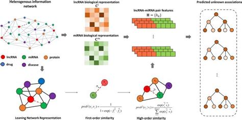 A Heterogeneous Information Network Learning Model With Neighborhood Level Structural