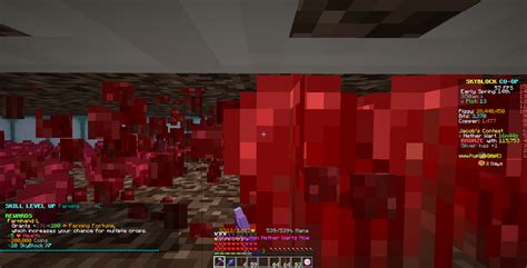 Took The Farming L R Hypixelskyblock