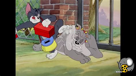 انیمیشن تام و جری کارتون تام و جری فیلو