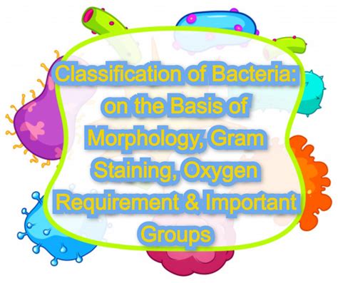 Classification Of Bacteria On The Basis Of Morphology Gram Staining Oxygen Requirement