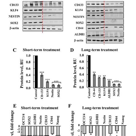 Tspo Over Expression In Cancer A Immunohistochemical Staining Of