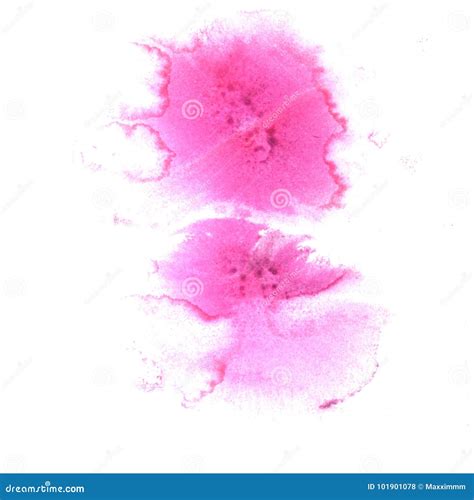 Art The Pink Watercolor Ink Paint Blob Watercolour Splash Colorf Stock