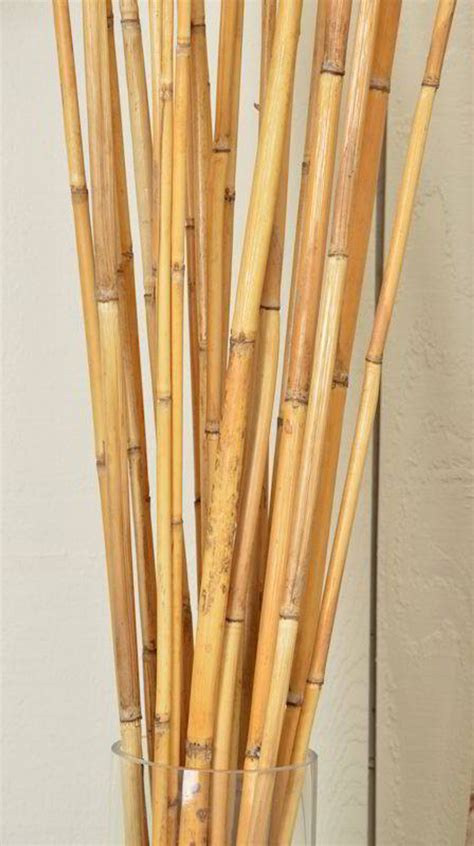 River Cane Bamboo Dried Bamboo Decorative Bamboo Dried Etsy Bamboo