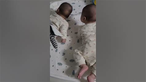 신생아 신생아육아 육아브이로그 육아 육아일기 육아vlog 아기 워킹맘 브이로그 육아일상 소통 둥이육아 쌍둥이 씬스틸러 아들둥이 Youtube