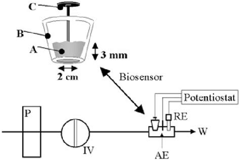 Flow Injection System Used With A Schematic View Of The Coupled Download Scientific Diagram