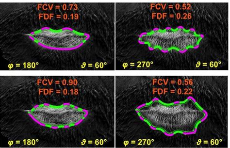 Lips Contour Manually Segmented On Two Differently Shaded Images Download Scientific Diagram