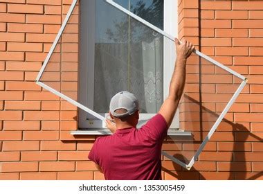 Man Installing Mosquito Net Mosquito Wire Stock Photo 1452646199 Shutterstock