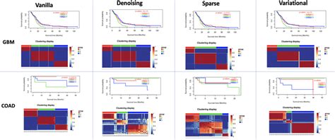 Pam Survival Analysis On Datasets In Each Subfigure Top Download Scientific Diagram