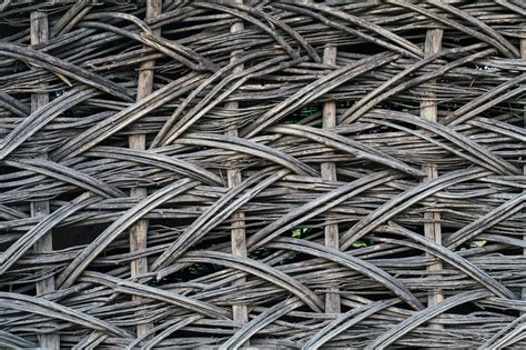 Tree Weaving Traditional Free Photo On Pixabay Pixabay