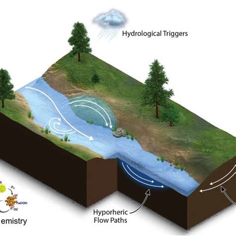 Schematic Depiction Of Processes Within A Subsurface Microbiology B Download Scientific