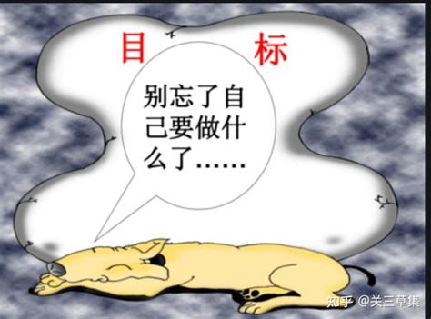 你与目标之间有多远 知乎