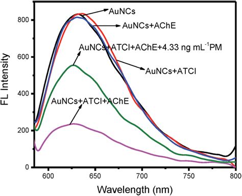 Fluorescence Curves Of Bsa Auncs Interacting With Different Substrates