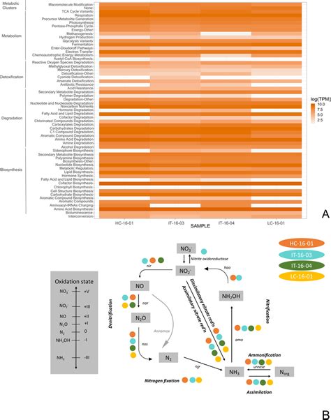 A Overview Of Pathways Identified In Assembled Metagenomic Contigs