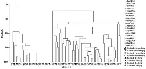 Hierarchical Clustering Cluster Based On The Bray Curtis Similarity