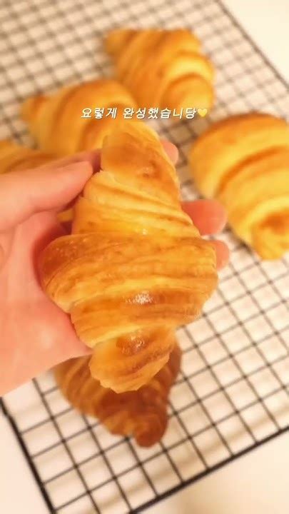 크로와상 도전기 2탄 Shorts 크로와상 베이킹 Youtube