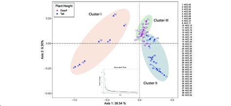 Principle Coordinates Analysis Pcoa Clustering 40 Coconut Accessions Download Scientific