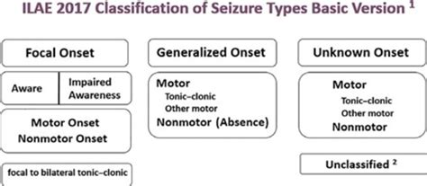 seizure classification
