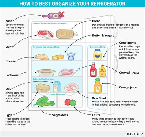 Rules For Storing Food Safely In A Fridge At Cory Wedel Blog