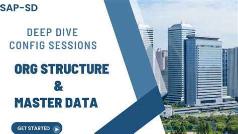 Sap Sd Deep Dive Configs Online Course