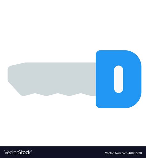 Key Used To Unlock Software Or Programs Royalty Free Vector