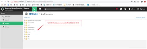 搭建nexusjavamaven开发环境nexus Jdk11 Csdn博客