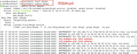 Dhcp原理与配置dhcp默认租约时间 Csdn博客