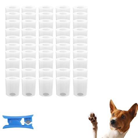 Nail Grips For Dogs Instant Traction On Woodhardwood Floors Dog