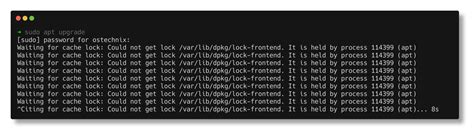 The Right Way To Handle Dpkg Lock Error In Debian And Ubuntu Ostechnix
