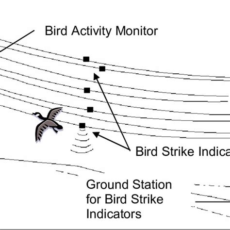 Pdf Bird Strike Indicatorbird Activity Monitor And Field Assessment