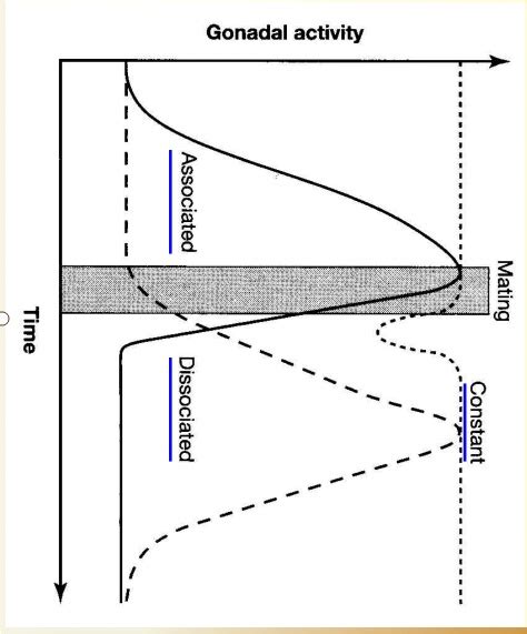 Gonadal Activity Associated Time Dissociated Constant Mating