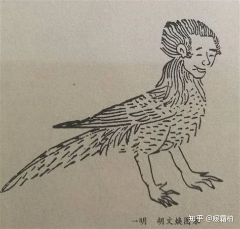 山海经物种摘录 南山经 南次二经 知乎