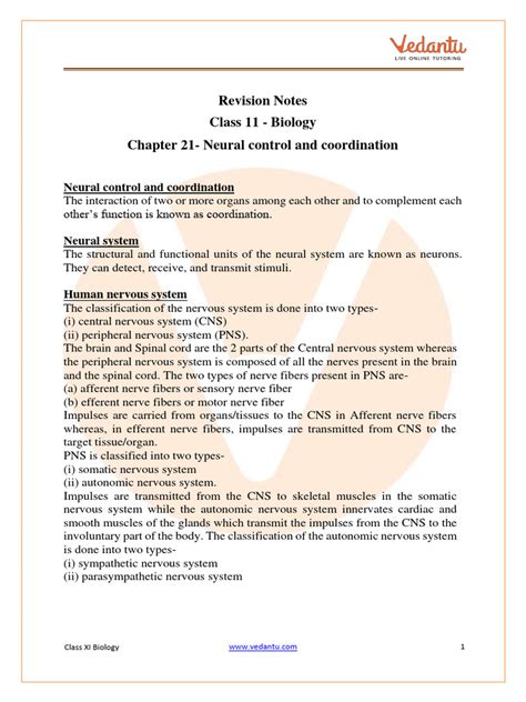 Neural Control And Coordination Class 11 Notes Cbse Biology Chapter 21