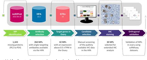 Spatial Proteomics For Further Exploration Of Missing Proteins A Case Study Of The Ovary